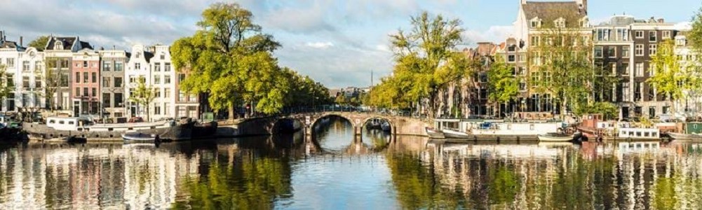 Werken bij Novicell? Vacatures van Novicell